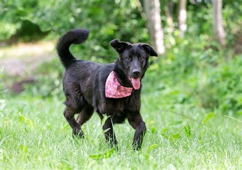 Новое Домодедово ВКонтакте