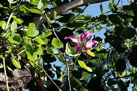 激情看第二十六章