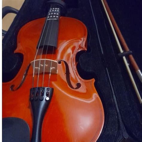 Jual Alat Musik Biola Original Indonesia Shopee Indonesia