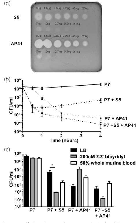 Figure 1 From Pyocin Efﬁcacy In A Murine Model Of Pseudomonas