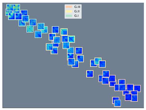 computers free full text kernel based regularized eegnet using