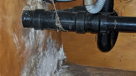 Mold Removal Services Mold Medics