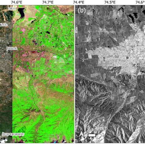 Comparing Optical And Sar Data A Example Of A 10 M Resolution Download Scientific Diagram