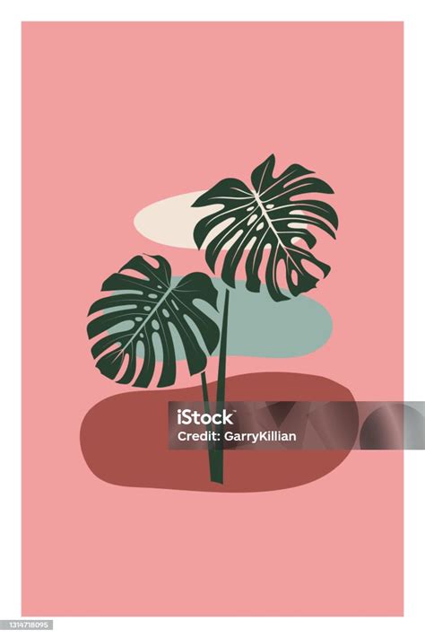 컬러 스플래츠열대 몬스터의 추상적인 라인 아트 몬스터 라 윤곽 그리기 최소한의 꽃 그림 0명에 대한 스톡 벡터 아트 및 기타 이미지 Istock