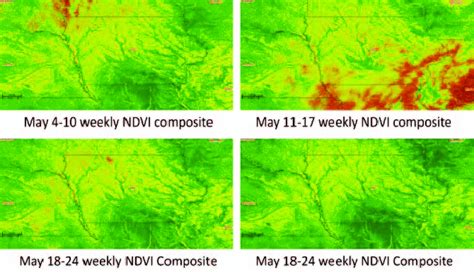 modis weekly composite examples may 2010 b comparison of vegetation download scientific