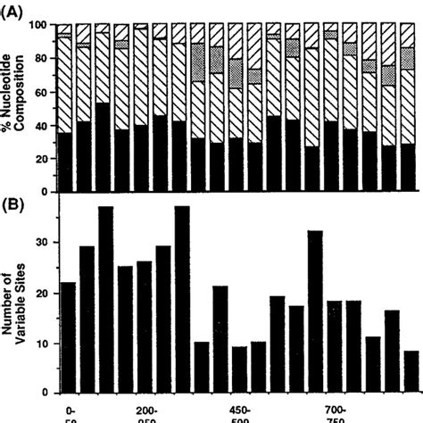 Average Percentage Nucleotide Composition A And Number Of Variable