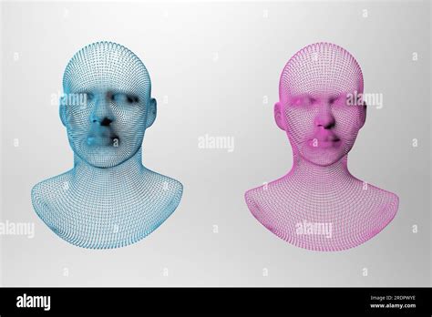 Wire Frame Busts Of A Man And A Woman Side By Side Stock Photo Alamy