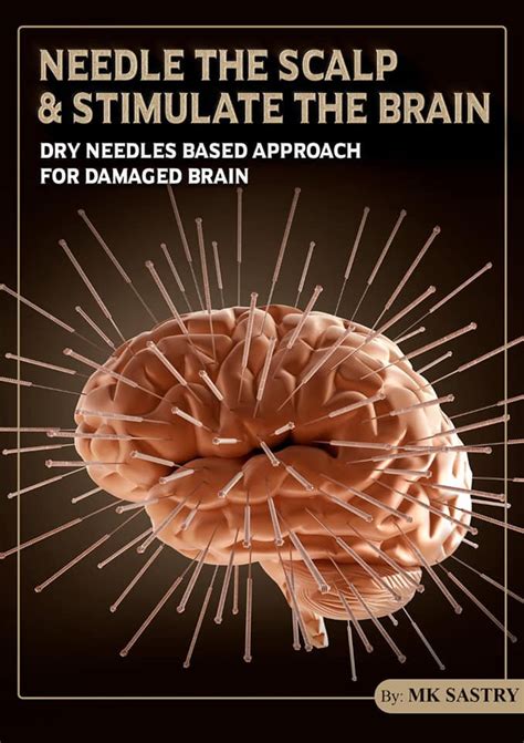 Non Invasive Brain Stimulation Nibs Vedavidhya