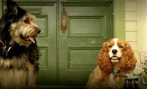 La Dama Y El Vagabundo Revel Su Primer Poster Oficial