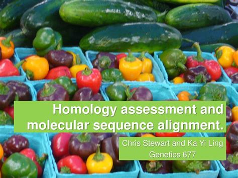 ppt homology assessment and molecular sequence alignment powerpoint