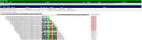 understanding junction output · issue 229 · barricklab breseq · github