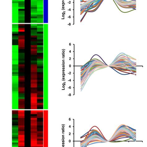Cluster Analysis Of Microarray Data A Hierarchical Clustering Was