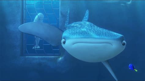 Finding Dory Destiny