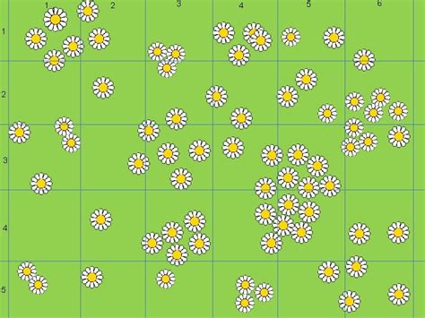 Topic Quadrats And Random Sampling Techniques Outcomes 1