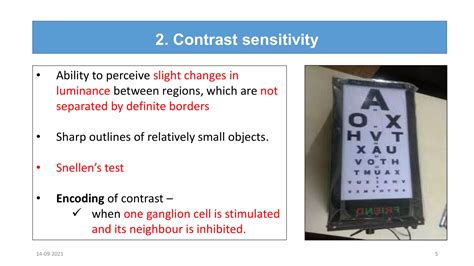 Lecture 7 2022 Special Senses Vision 7 Physiology Of Vision Visual Perception Ppt