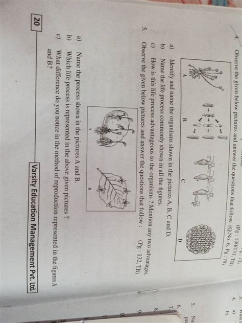 4 Observe The Given Below Pictures And Answer The Questions That Follow