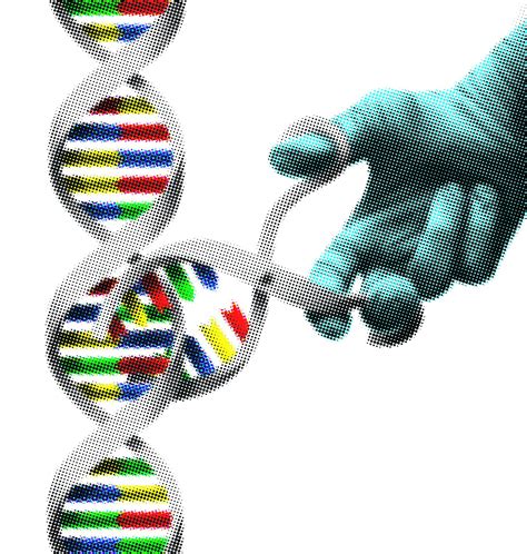 Modificacion Genetica Conjunto De Iconos De Genética Modificación