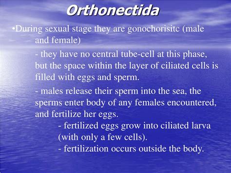 Ppt Mesozoa Powerpoint Presentation Free Download Id285733