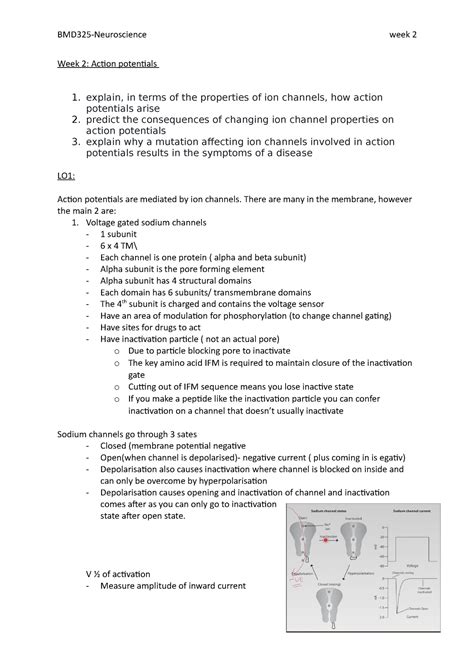 Week 2 Action Potentials Week 2 Action Potentials Explain In Terms Of The Properties Of Ion
