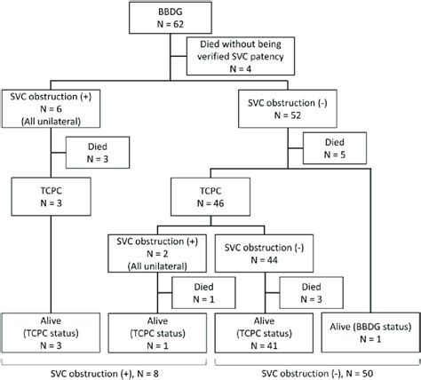 Overall Survival After Bilateral Bidirectional Glenn Download