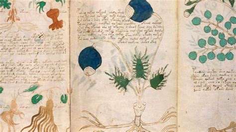 Voynich Manuscript Mystery World Most Mysterious Book Hindi 600 साल
