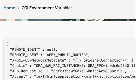 Apex And Ords Cgi Environment Variables
