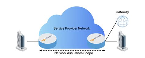 Performance Measurement For Service Providers Ip Infusion
