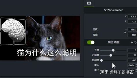 Camtasia 2021教程—lottie动画 知乎