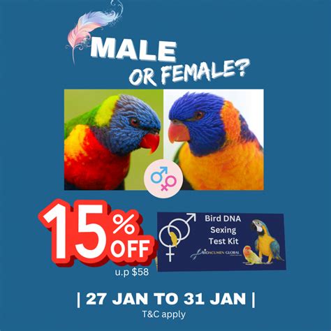Buy Bioa™ Bird Dna Sexing Test Kit Bioacumen