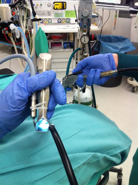 Jet Ventilation Anesthesia Transoral For Laryngeal Surgery Iowa