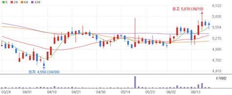 Chatgpt 관련주 7종목 Chatgpt 관련 주식 대장주 셀바스ai 브리지텍 핸디소프트 엔텔 코난테크놀로지 솔트룩스 씨이랩 전망 정보 확인