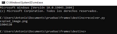 ProgramaciÓn Con Sockets En Python Ii Transferencia De Archivos El Programador Chapuzas