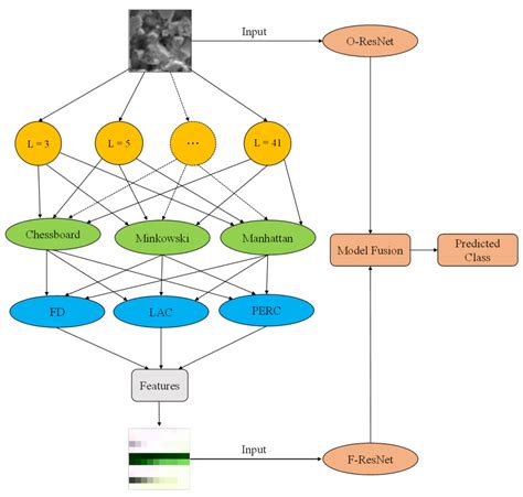 Fractal Geometry And Convolutional Neural Networks For The
