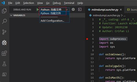 【记录】windows中用vscode去调试python项目代码文件 在路上