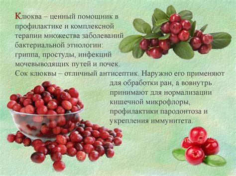 Природные антибиотики - презентация онлайн