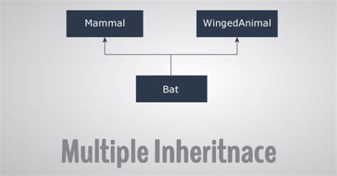 Multiple Multilevel And Hierarchical Inheritance In C