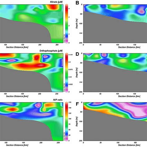 Vertical Profiles Of A Nitrate B Ammonium C Orthophosphate D
