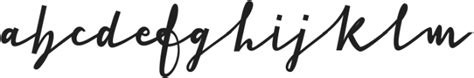 Cursive Signa Script Extra Bold Oblique Ttf 700 Font What Font Is