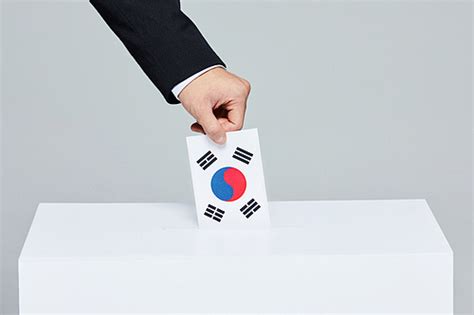 선거 투표 선거 선거권 선거 지방선거 사전투표 투표 민주주의 투표함 투표용지 투표용지 서류 이미지 Jv11978665 게티이미지뱅크