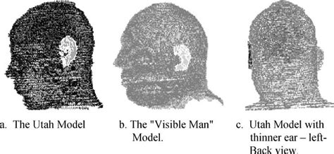 Visualization Of The Three Anatomically Based Models Of The Head