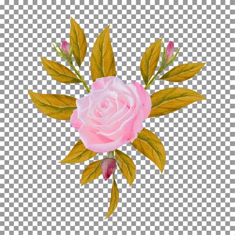 잎 수채화 꽃 요소 집합 프리미엄 벡터