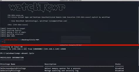 omvapt on linkedin vulnerabilities flaws citrix virtual apps rce