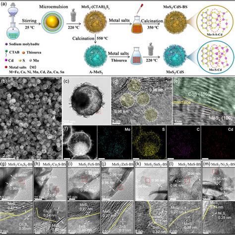 Universal Synthesis And Morphology Characterization Of Dual‐component Download Scientific