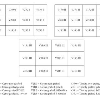 Field Experimental Setup Using A Randomized Block Design Download Scientific Diagram