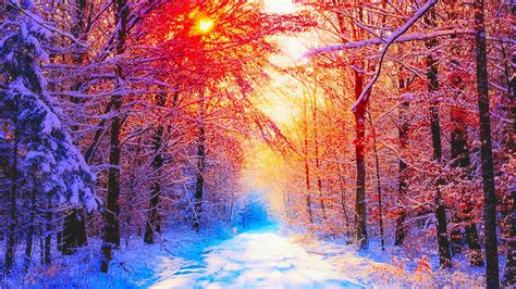 Hd Wallpaper Winter Scene 55 Images