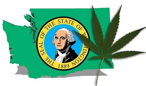 Top 10 Weed Strains In Washington State
