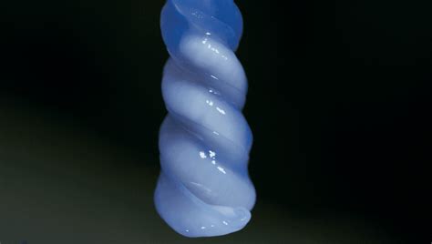 We Interrupt Our Valentines Day Program To Bring You This Alien Like Slug Sex Iflscience