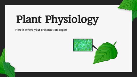 Plant Physiology Presentation