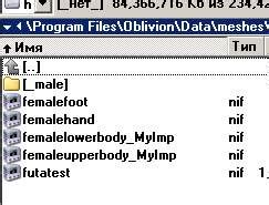 Mesh Extended Swap System Page 6 Downloads Oblivion Adult Sex Mods LoversLab