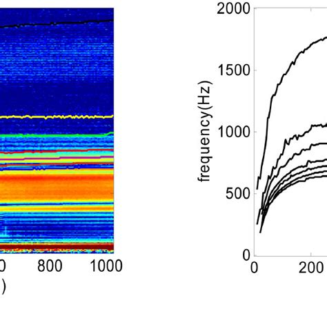 Temporal Evolution Of The Spectrum Of Radial Vibration Signals Detected